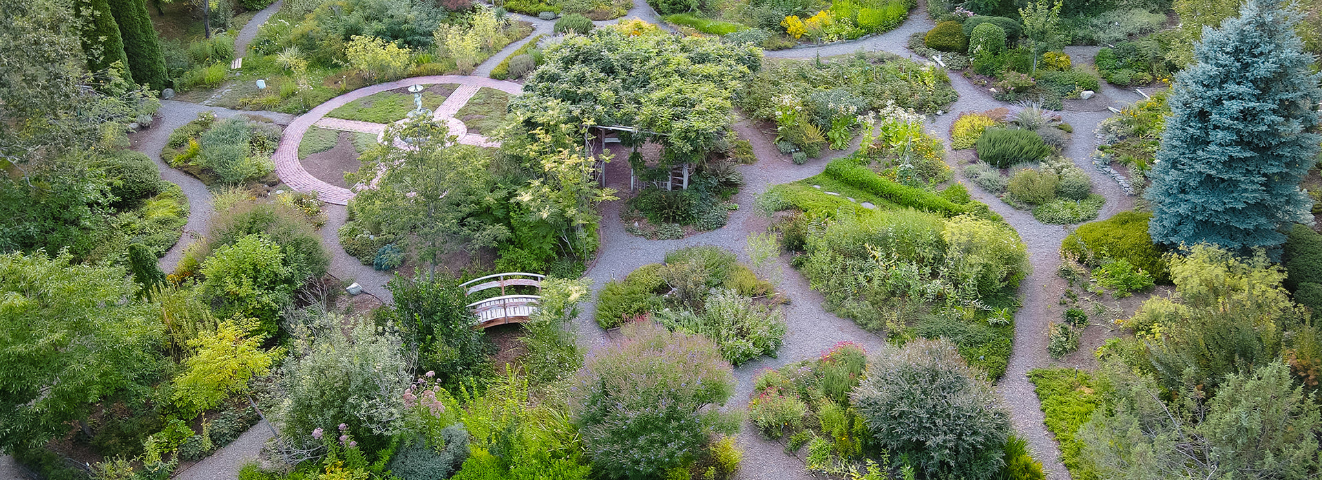 Take a virtual plant walk through our Botanical Education Garden