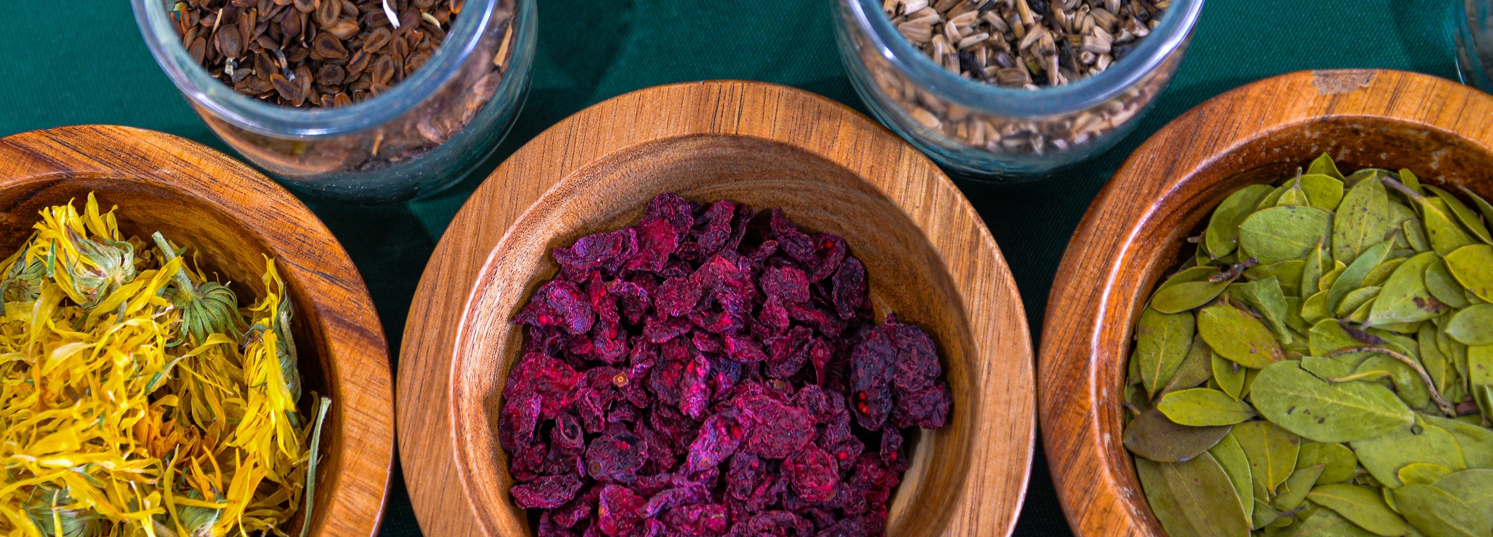 5 Tips for Creating an Herbal Routine, from Our Expert Herbalists