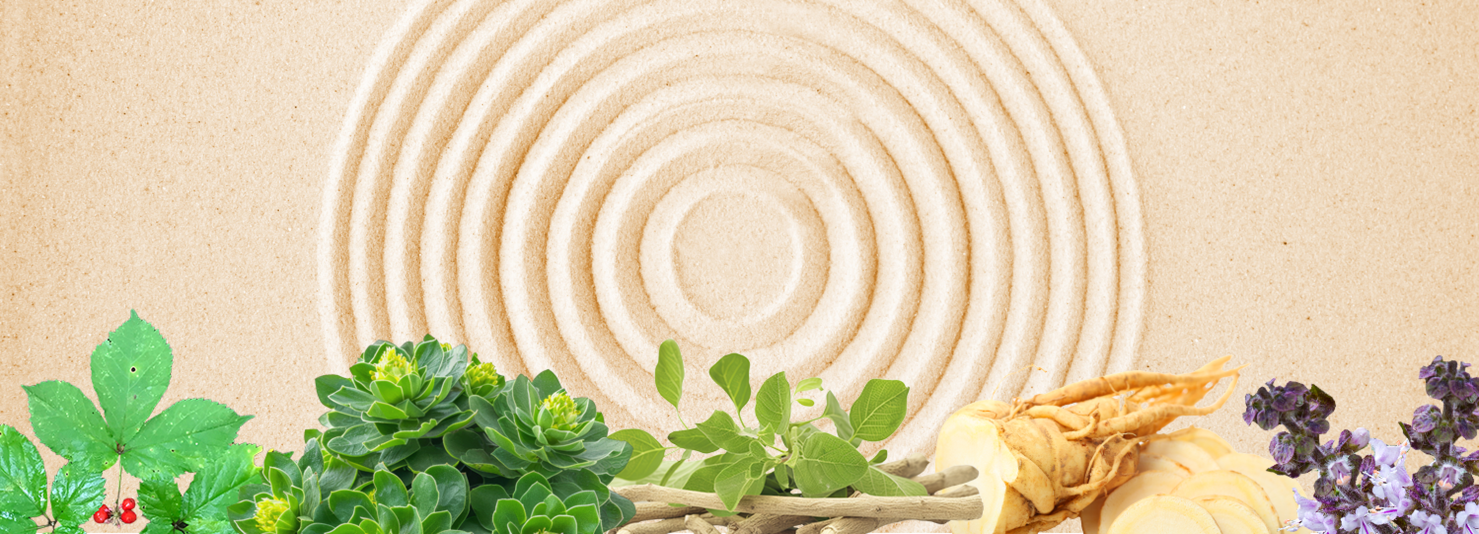 5 Adaptogens to Help You Adapt*