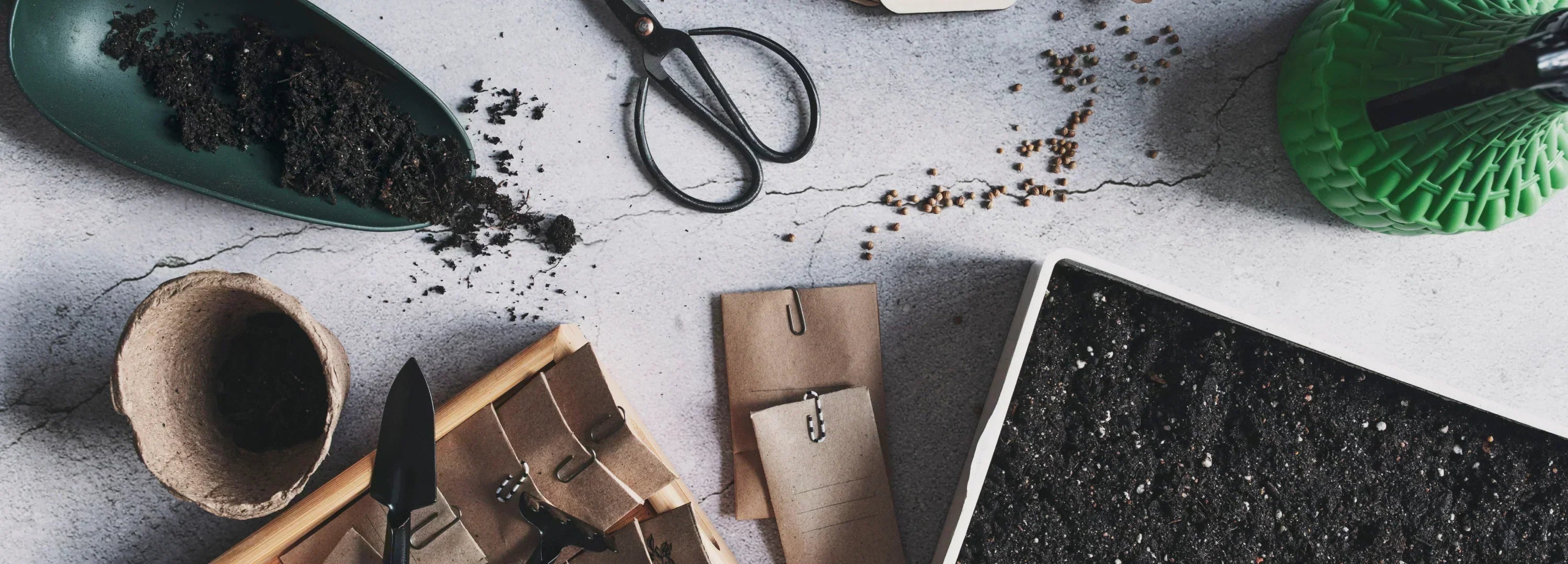 The Ultimate Seed Packet Glossary