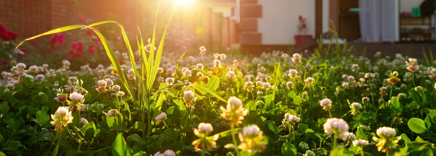 10 Spring Gardening Guidelines