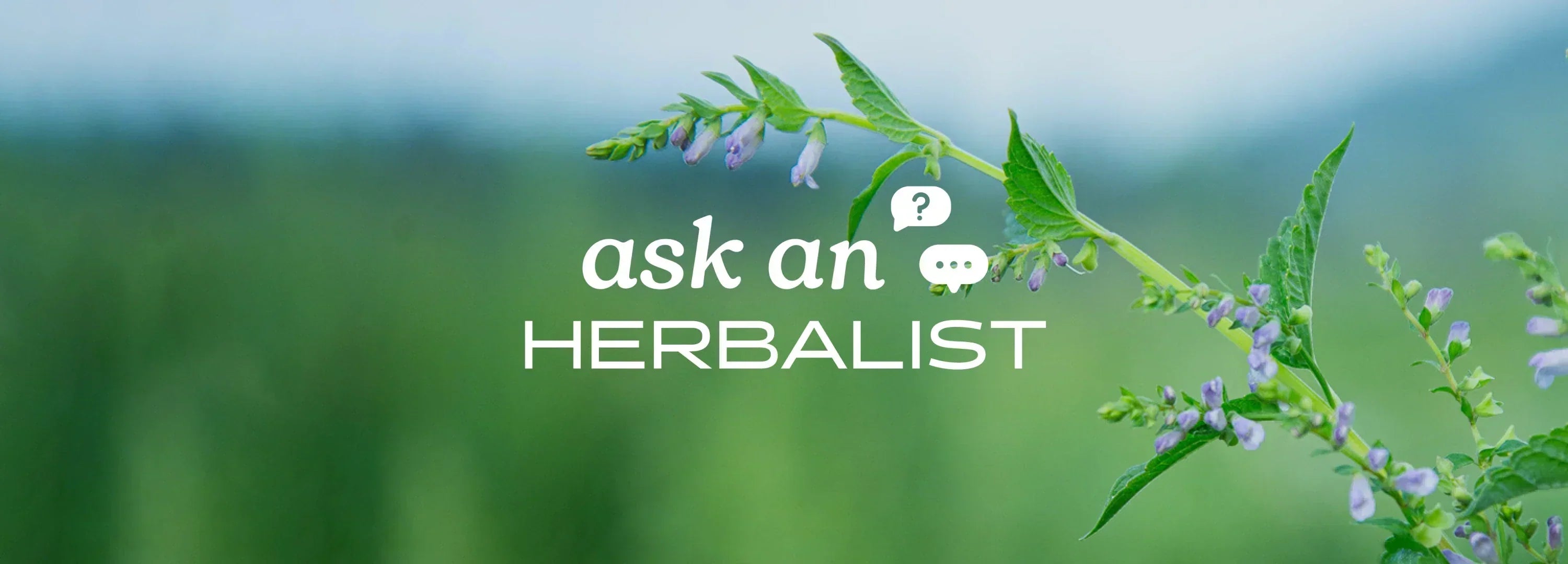 What products do you recommend to bio-hack your life?