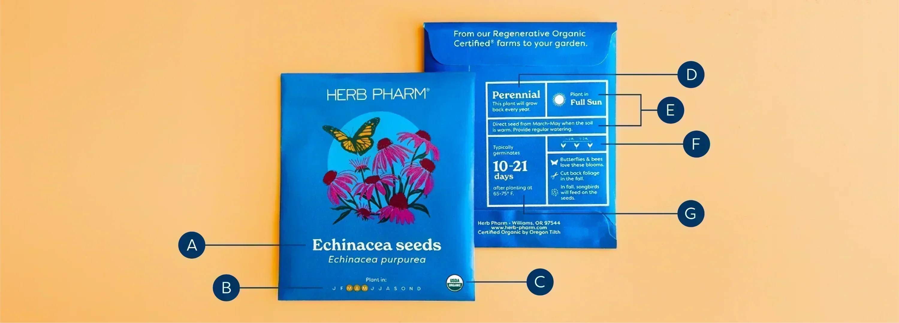 How to Read a Seed Packet