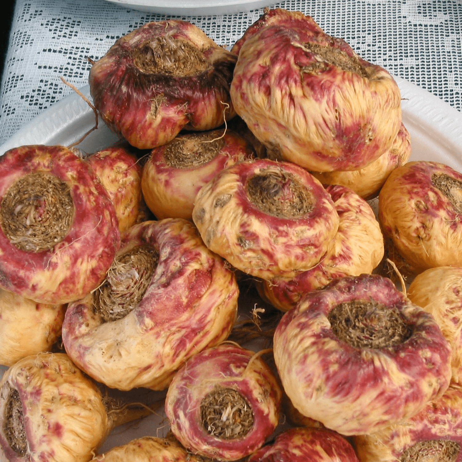 Maca Capsules | Herb Pharm