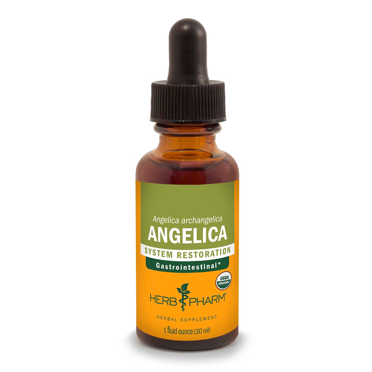 Angelica Liquid Herbal Extract | Herb Pharm