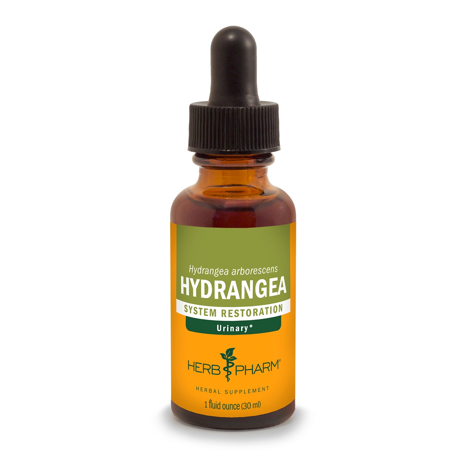 Hydrangea Liquid Herbal Extract | Herb Pharm
