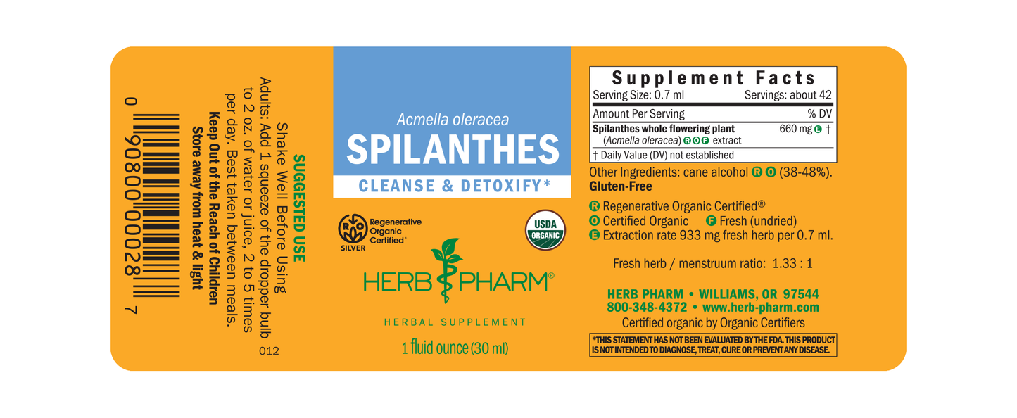 Spilanthes Liquid Herbal Extract | Herb Pharm