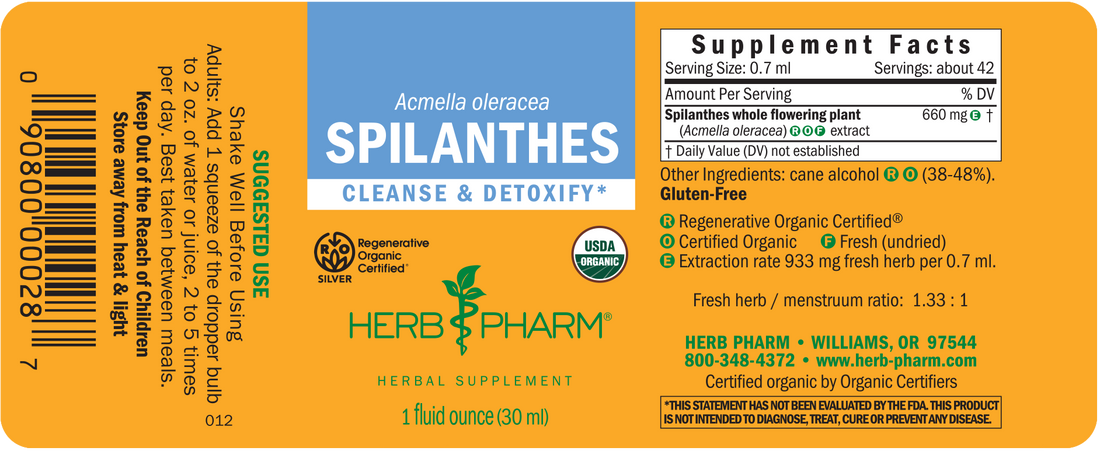 Spilanthes Liquid Herbal Extract | Herb Pharm