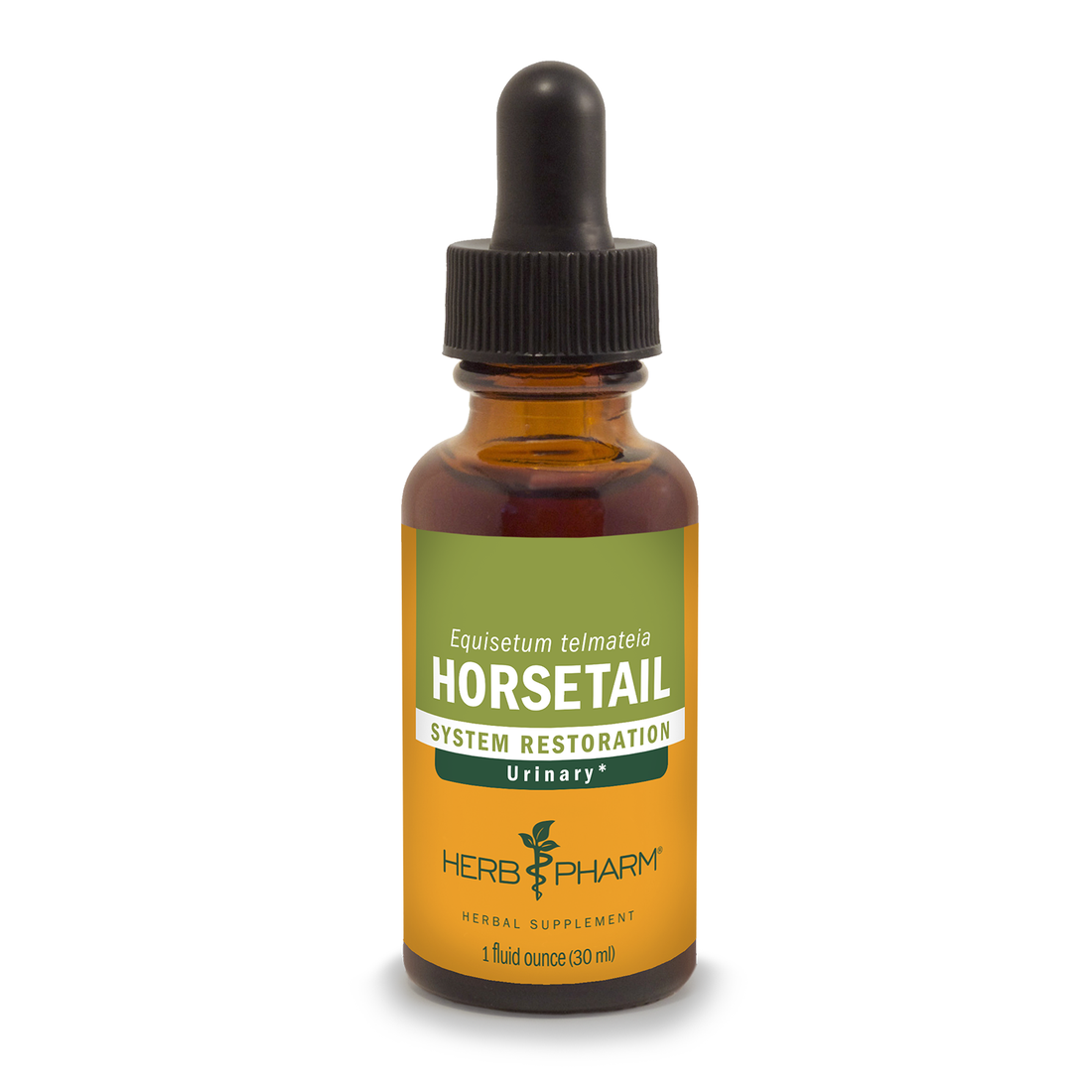 Horsetail Liquid Herbal Extract | Herb Pharm