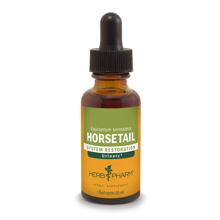 Horsetail Liquid Herbal Extract | Herb Pharm
