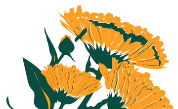 Stone Breaker Liquid Herbal Extract | Herb Pharm