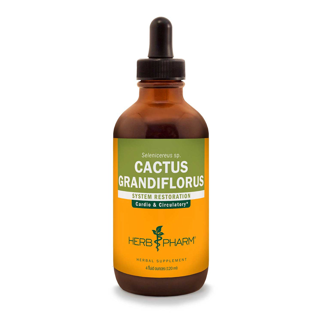 Cactus Grandiflorus Liquid Herbal Extract | Herb Pharm
