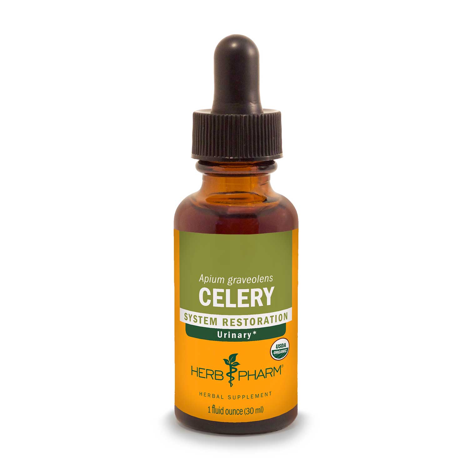Celery Liquid Herbal Extract | Herb Pharm