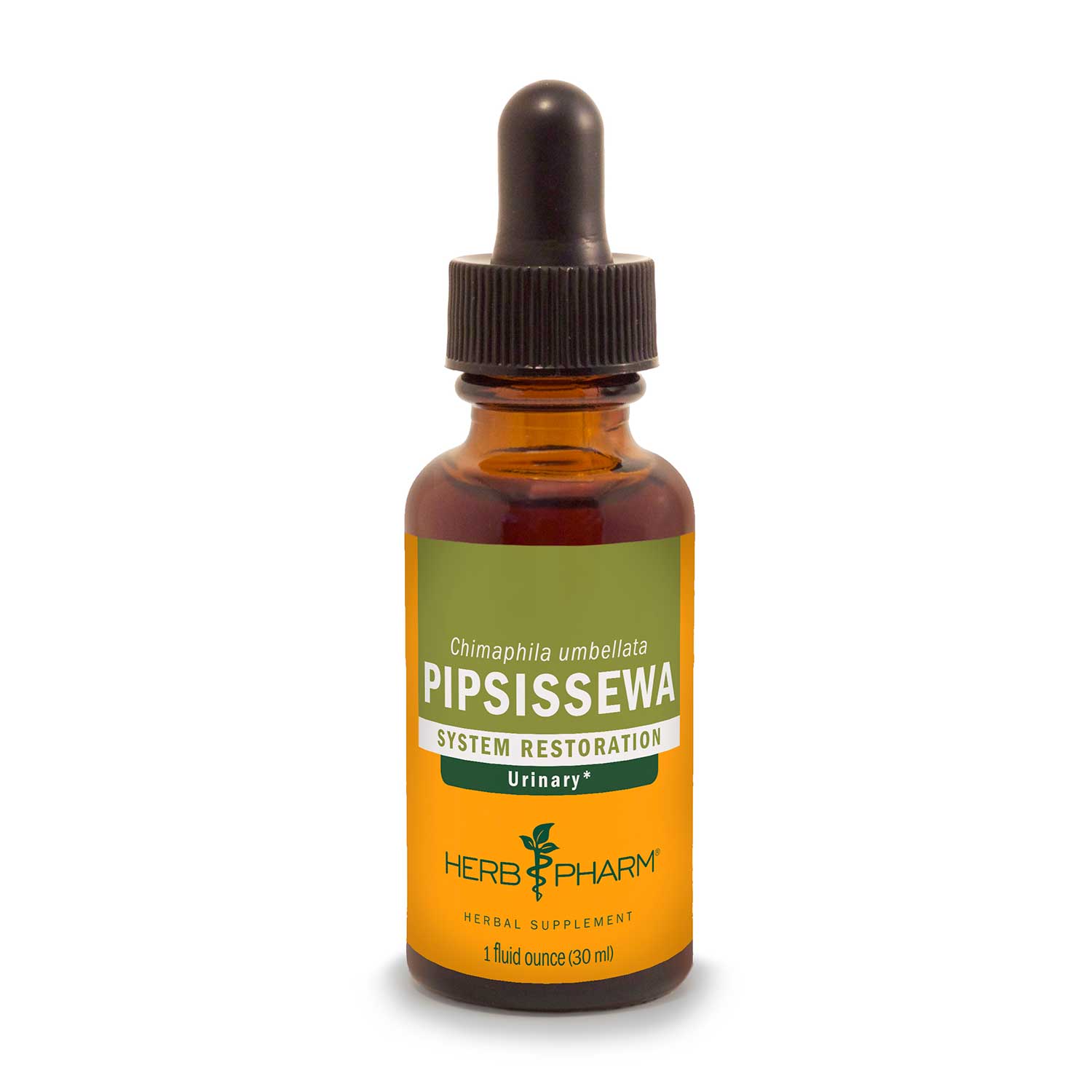 Pipsissewa Liquid Herbal Extract | Herb Pharm